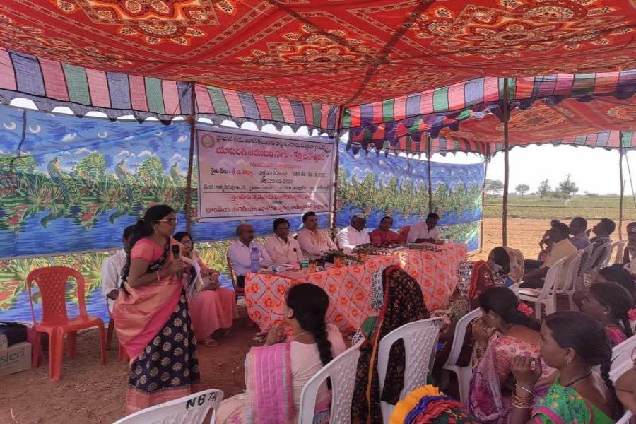 Field Day on Promoting rabi castor cultivation through Best management ...