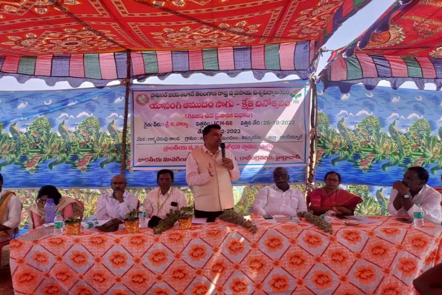 Field Day on Promoting rabi castor cultivation through Best management ...